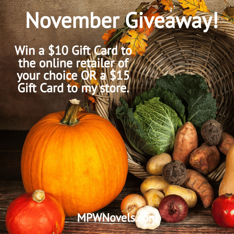 November Giveaway - Michele Pariza Wacek