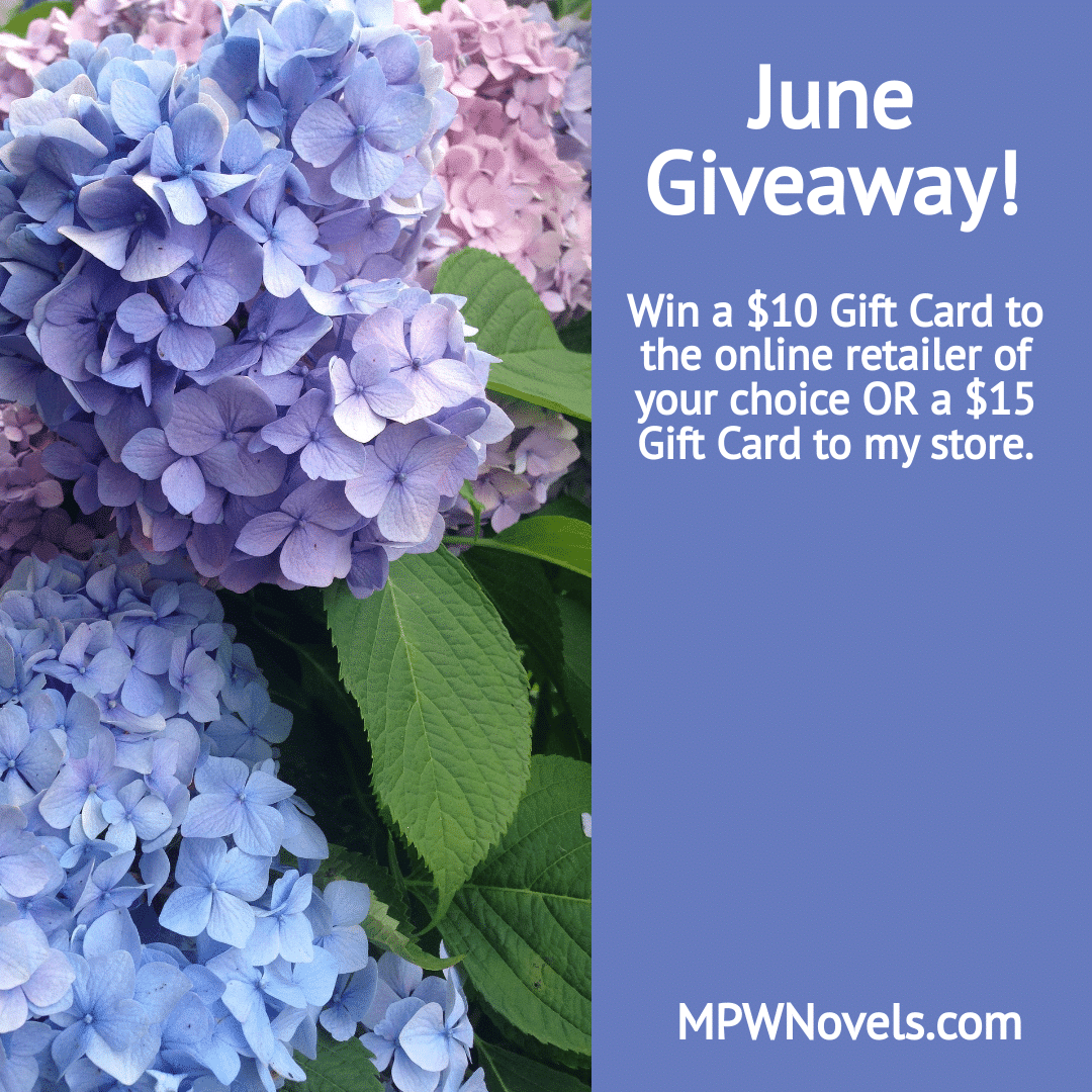 June Monthly Giveaway - Michele Pariza Wacek